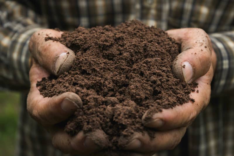 Soil shows true mine rehabilitation takes decades - Australian Mining