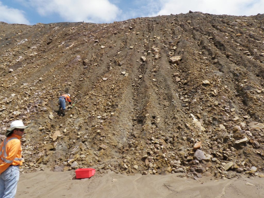 Sustainable researchers seek coal industry partners - Australian Mining