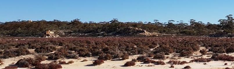 ASQ nabs up prospective Koolyanobbing tenements - Australian Mining