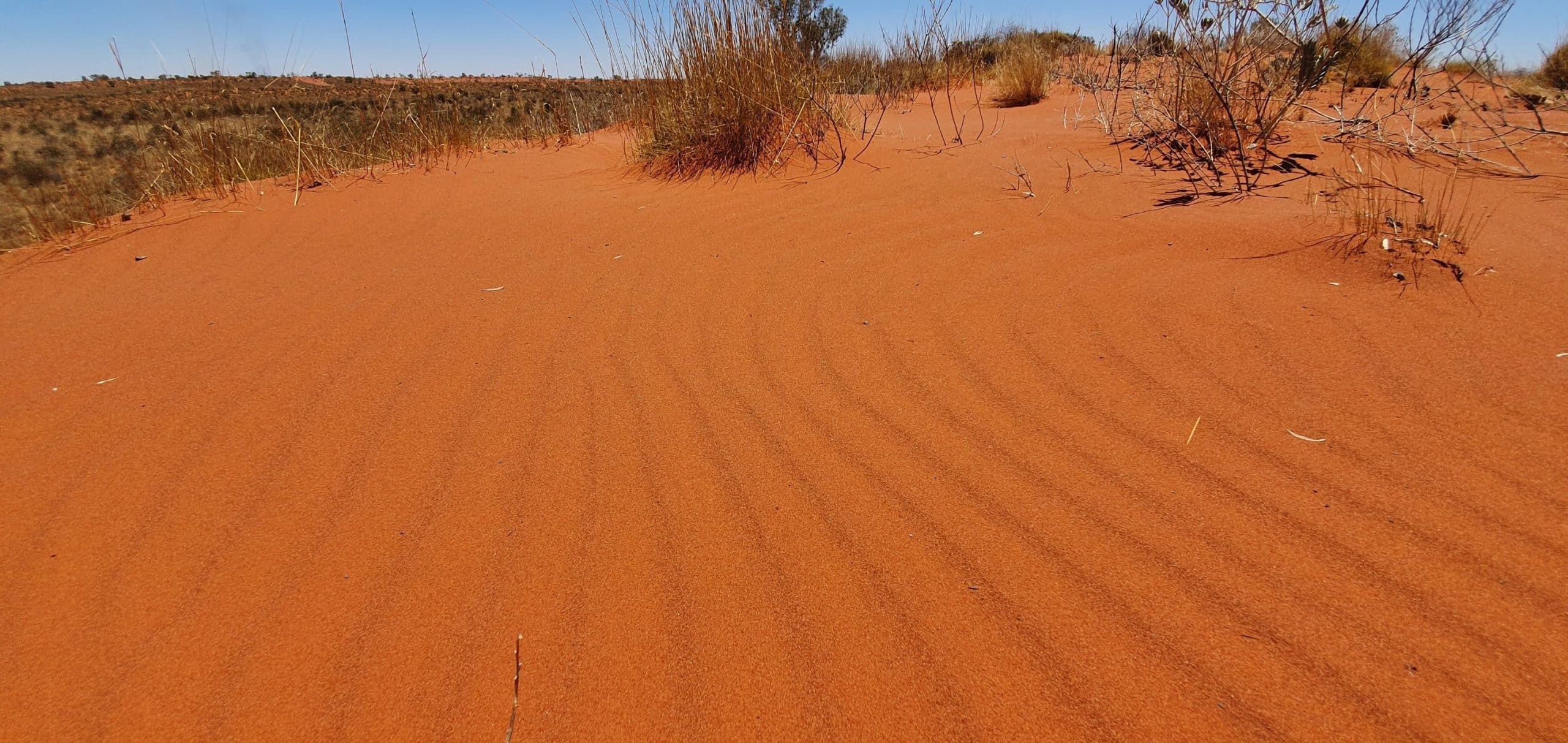 Placement finds funds for WAI drilling - Australian Mining