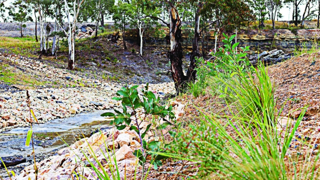 Planting the seeds of rehabilitation - Australian Mining