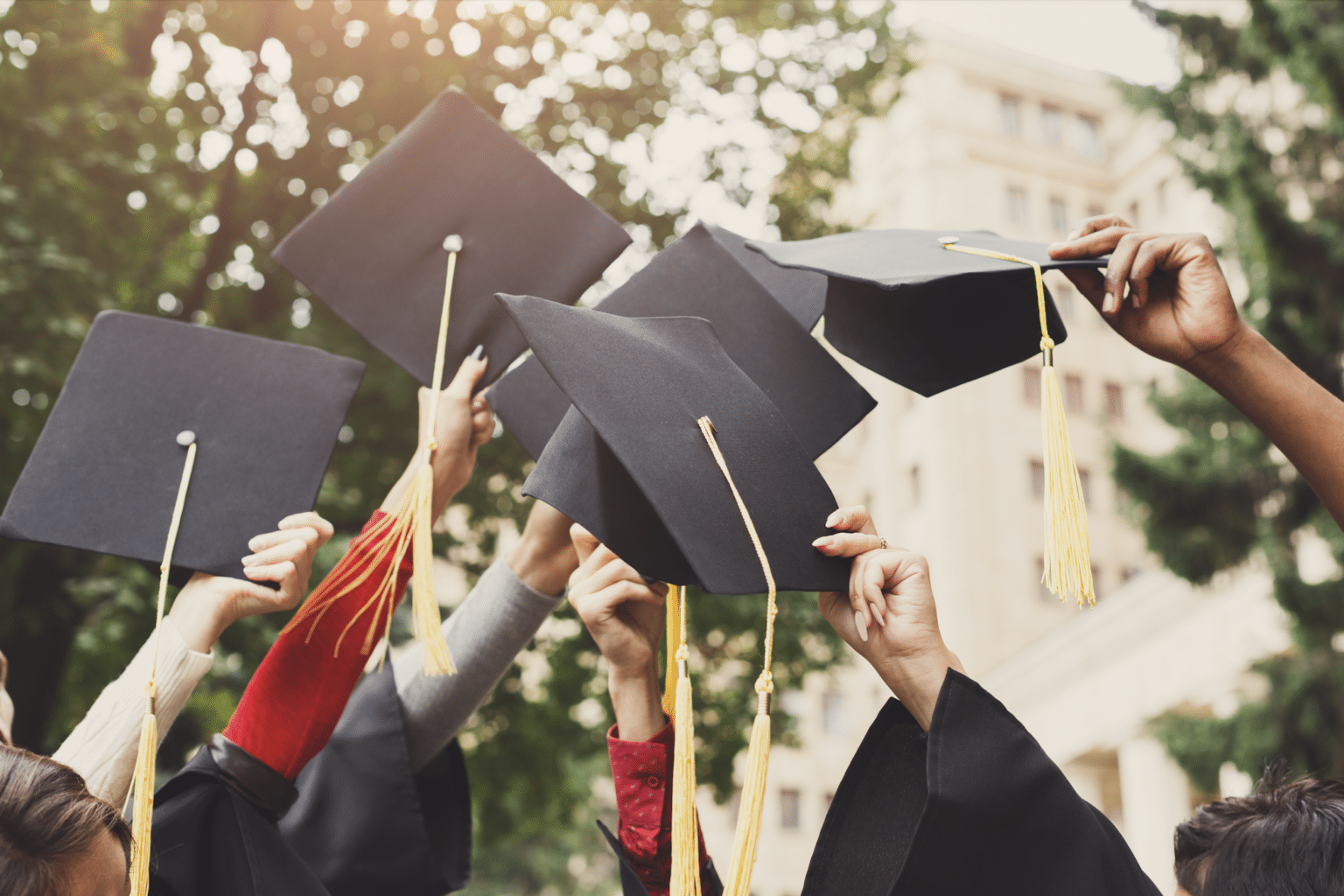 PhD scholarships to drive mining innovation - Australian Mining
