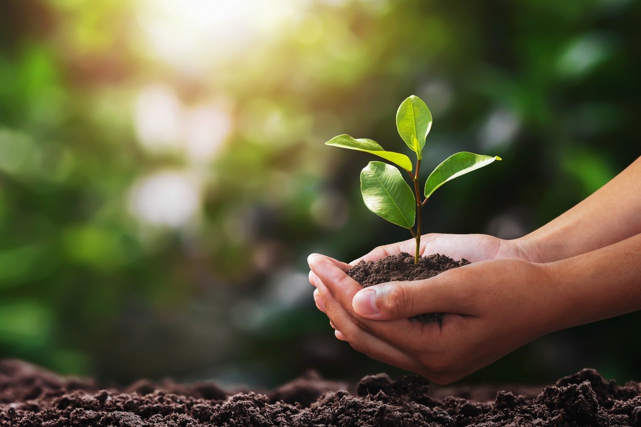 Showcasing the best in ESG - Australian Mining