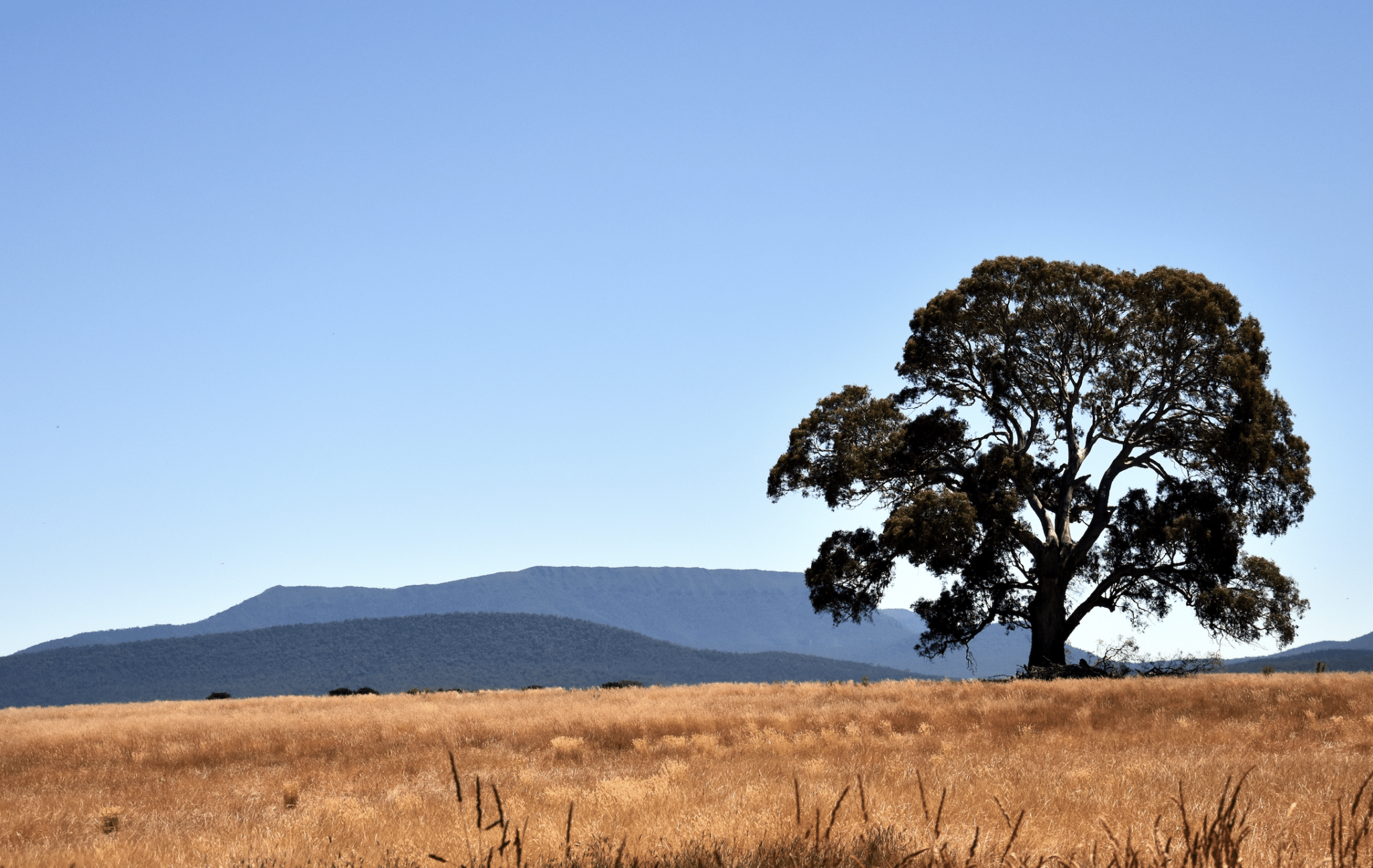 Victorian rare earths mine backed by US investment - Australian Mining