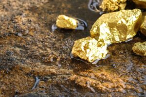 Lounge Lizard strengthens Forrestania potential - Australian Mining